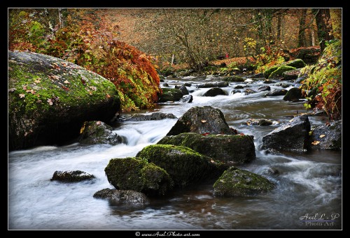 Filets d'eau - Axel Photo Art