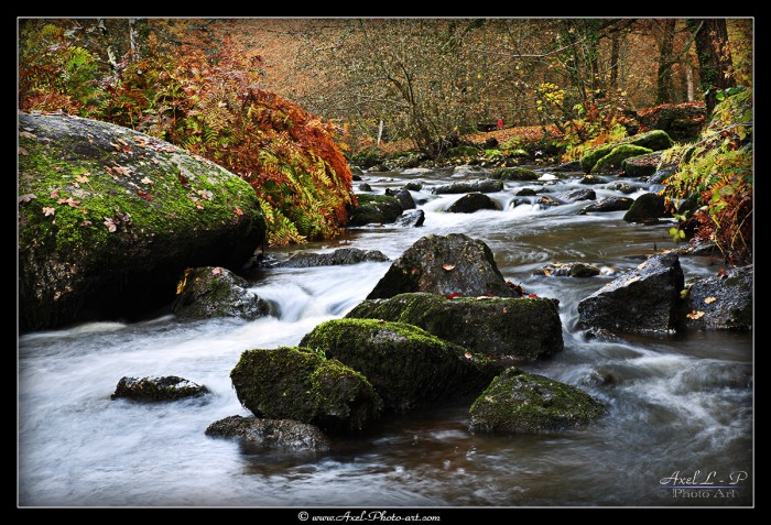 Filets d'eau - Axel Photo Art