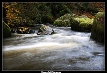 Filets d'eau - Axel Photo Art